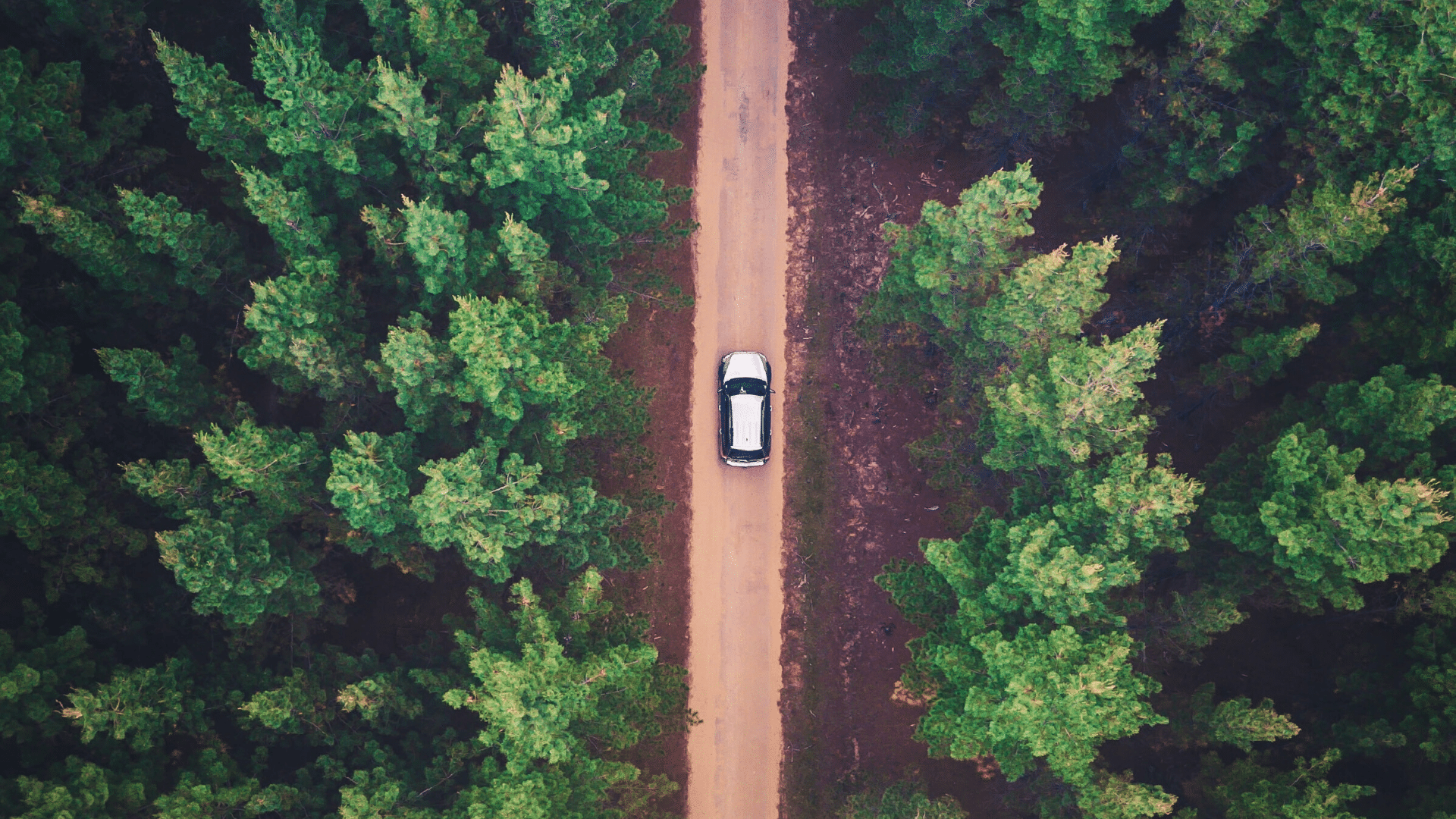 CHECKLIST: How to Get Your Car Ready For a Road Trip + What to Bring
