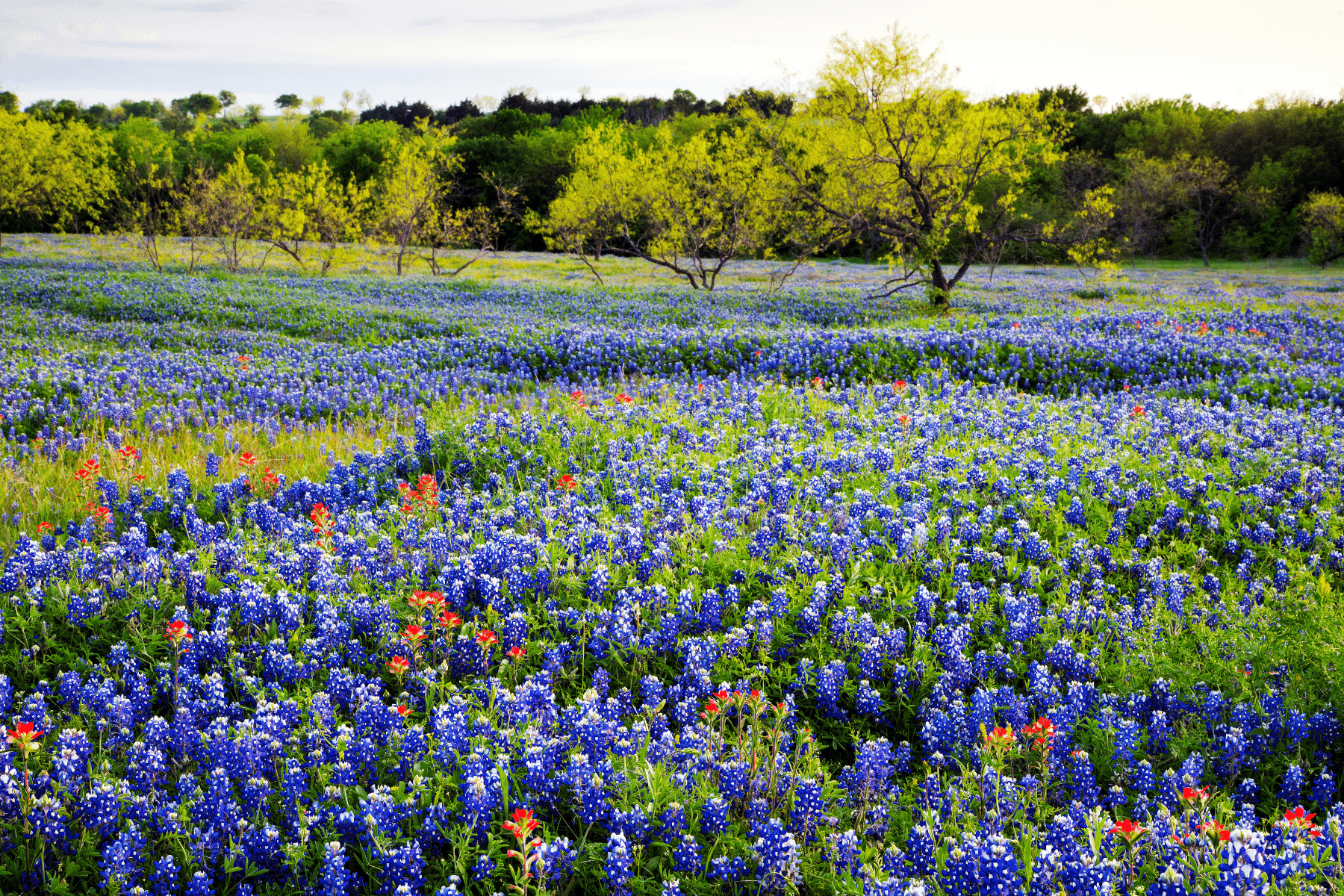 17 Charming Small Towns in the Texas Hill Country